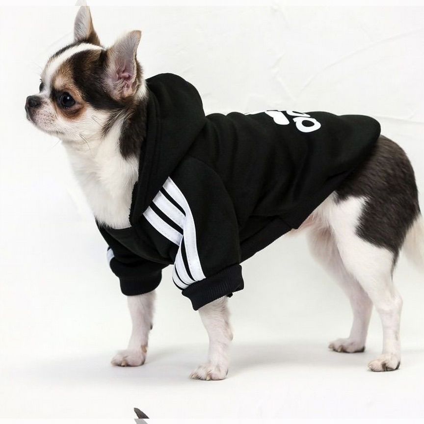 Комбинезон для собаки 2-3 кг