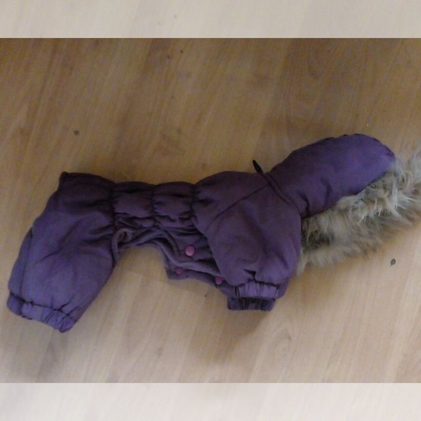 Зимний комбинезон на собачку