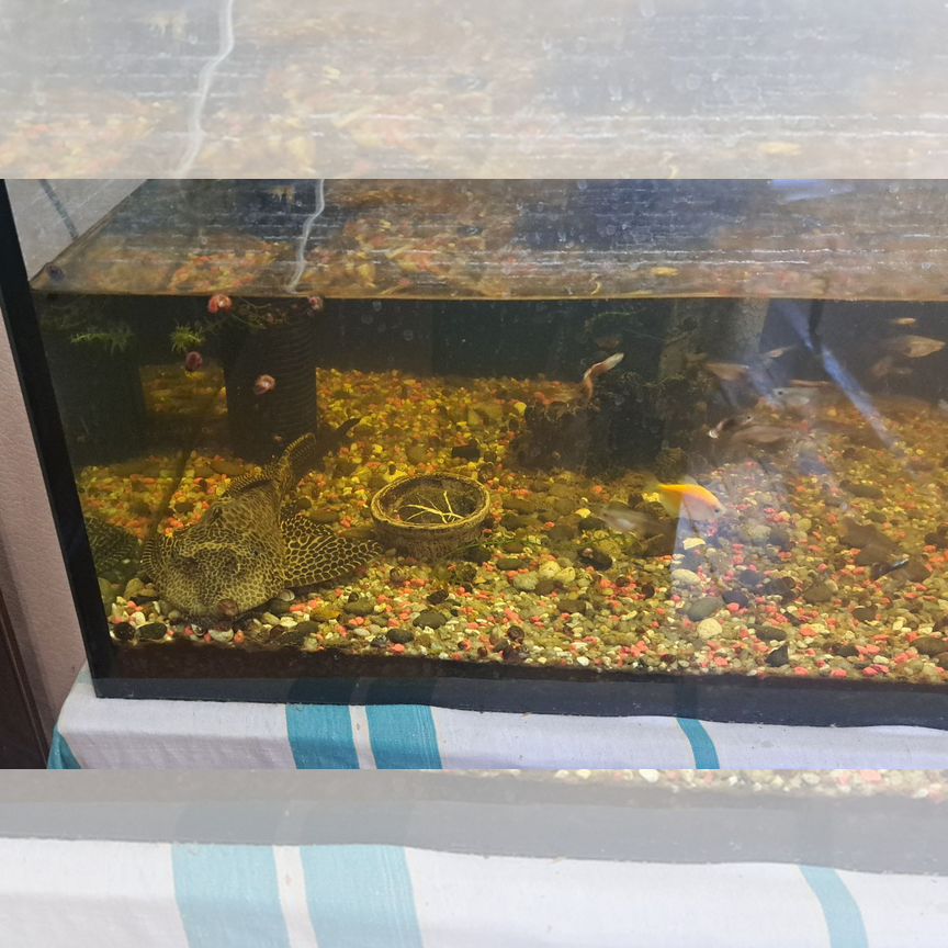 Аквариум 280 литров