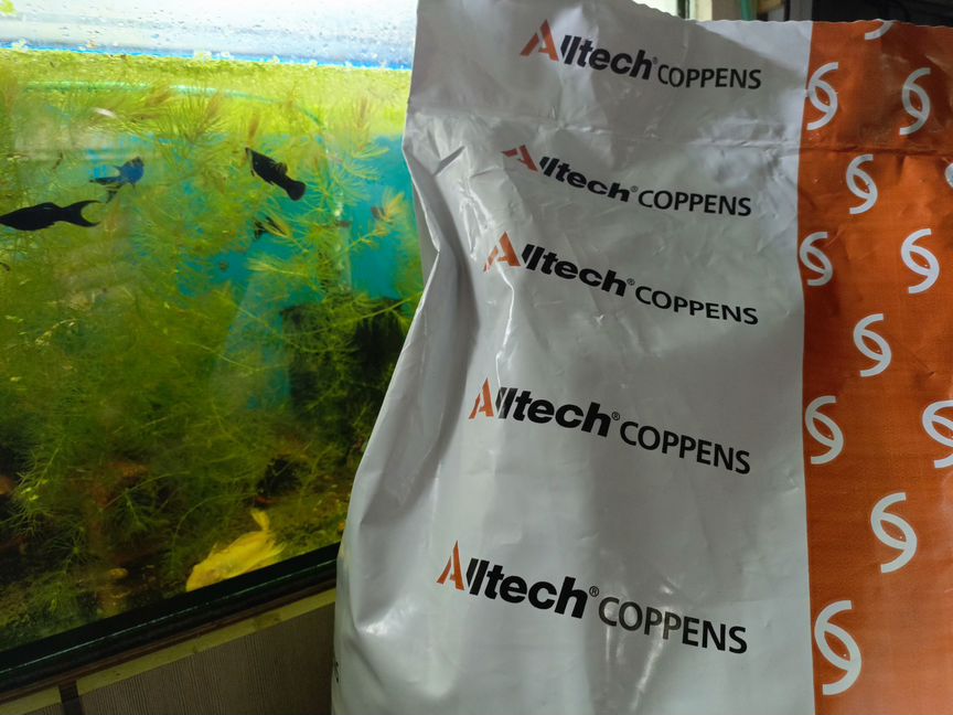 Сухой корм coppens