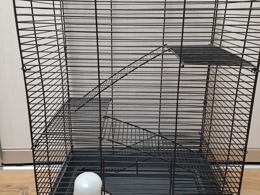 Клетка для крысок