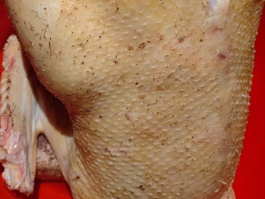 Мясо утро мулард