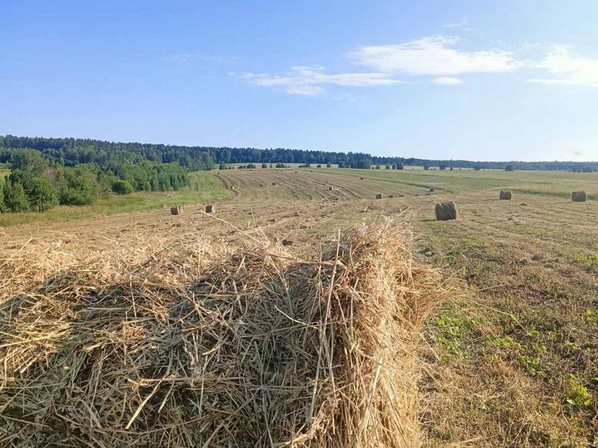 Сено оптом, возможна доставкой