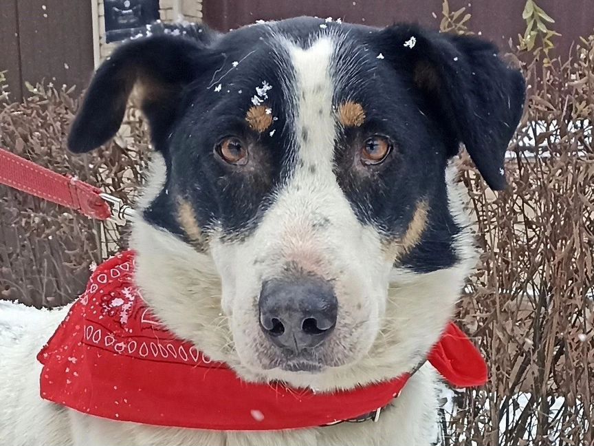 Джеку нужен дом