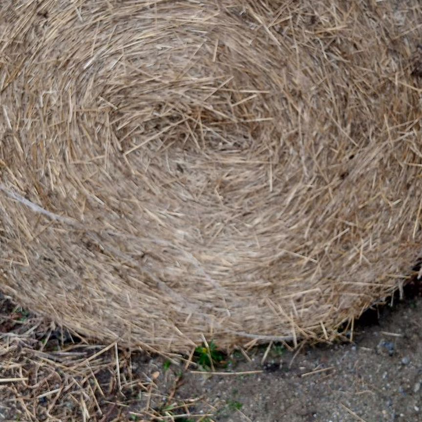 Солома в мешках