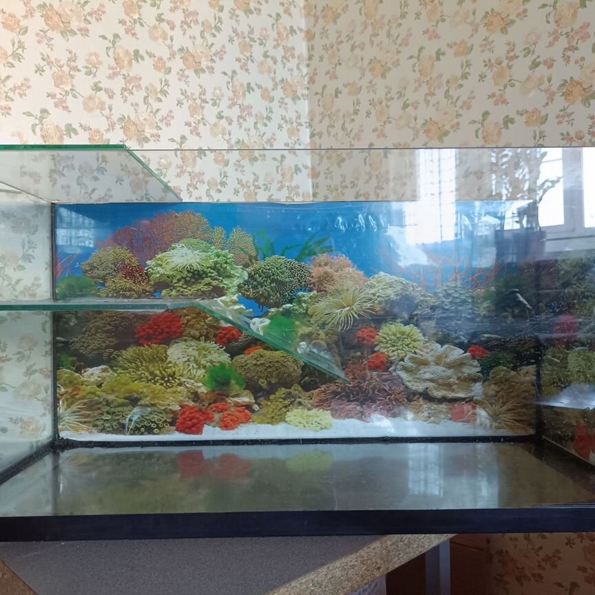 Аквариум 34/41/80