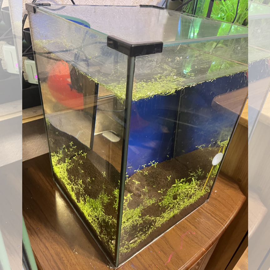 Аквариум с фильтром