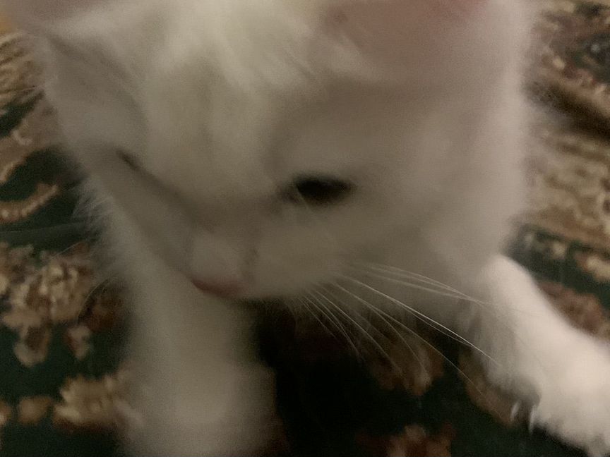 Продам срочно