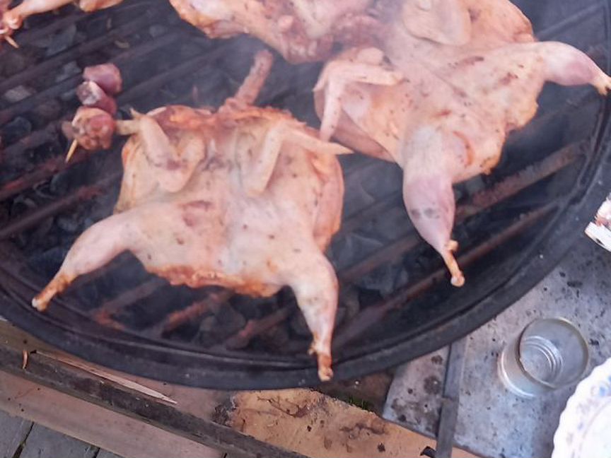 Клетки для перепелов с перепёлами