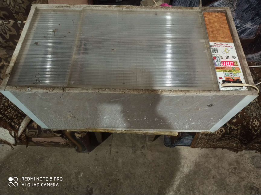 Инкубатор блиц норма 72