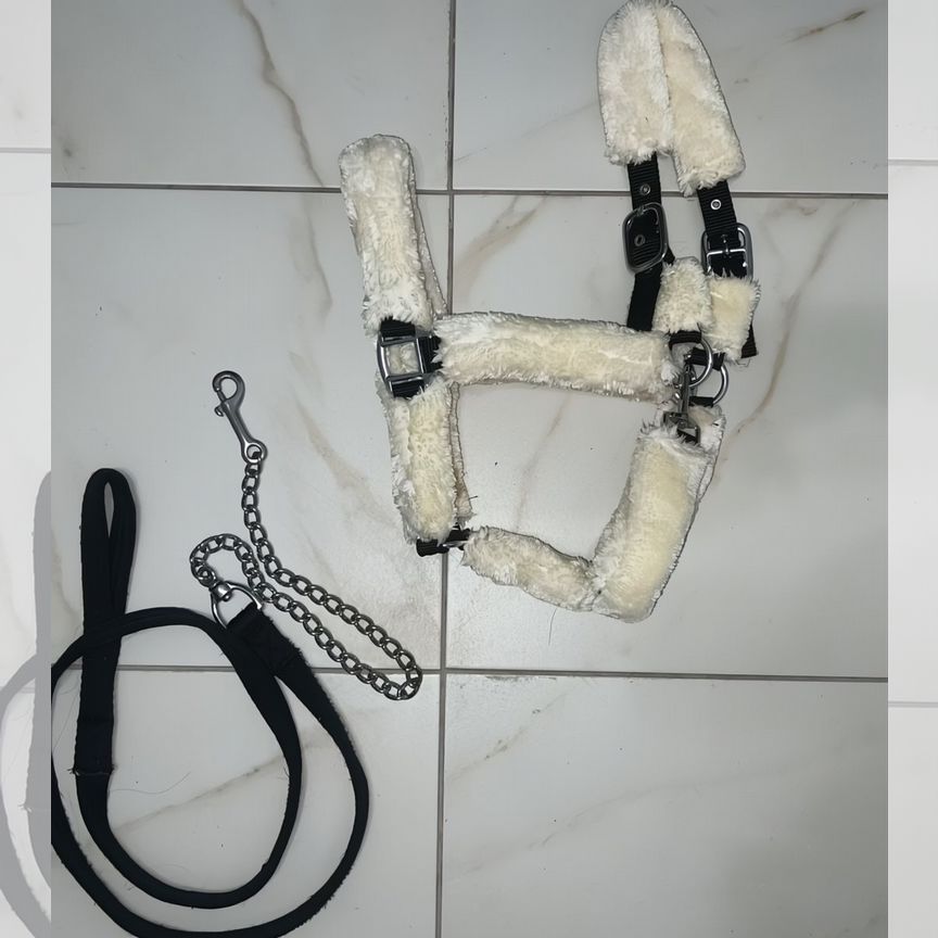 Недоуздок меховой с чомбуром цепочкой