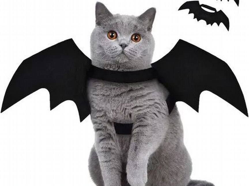 Костюм для животных летучая мышь