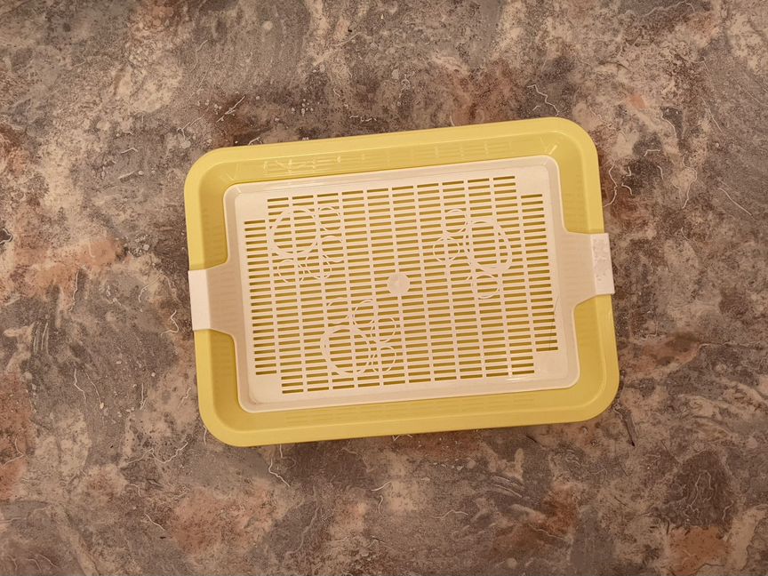 Лоток для кошек бесплатно