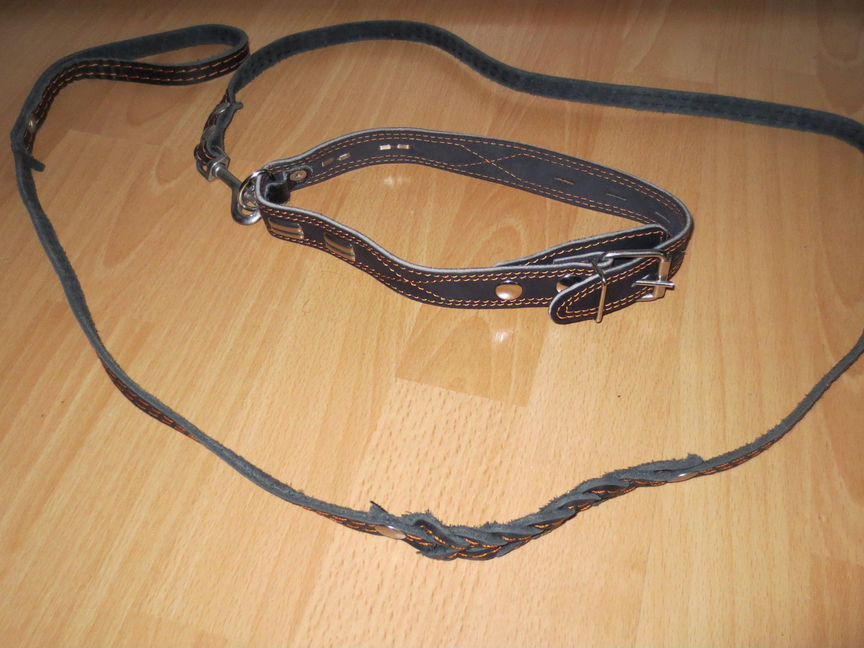 Ошейник с поводком