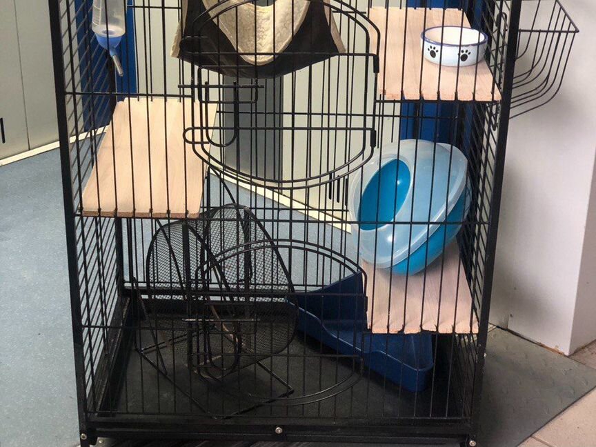 Клетка для шиншилл хорька грызунов животных крыс