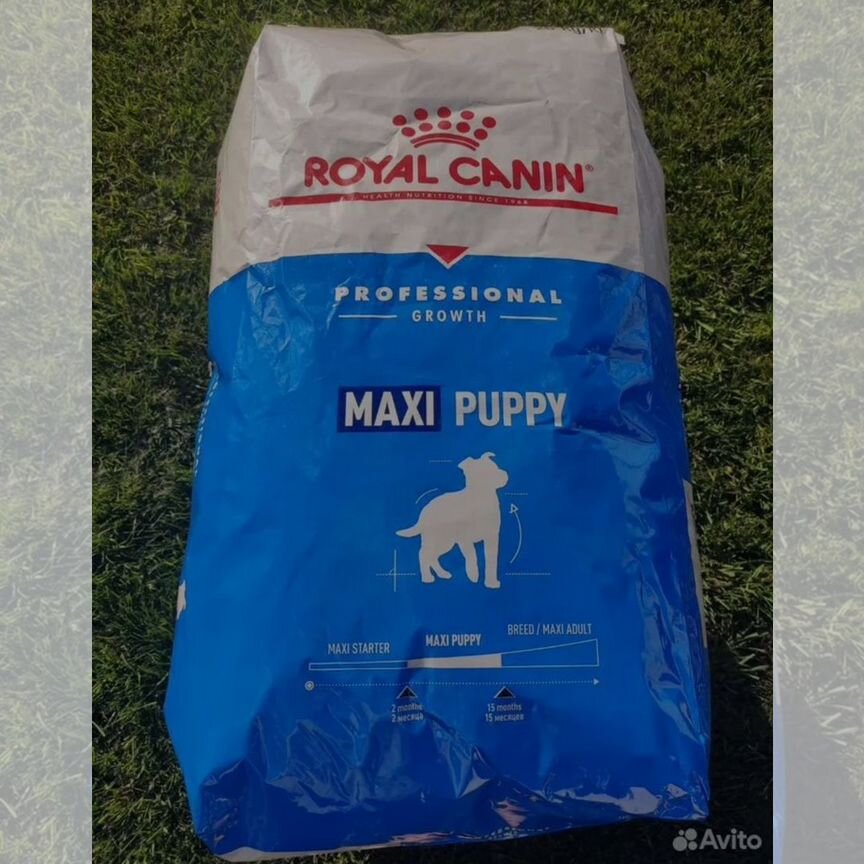 Корм для собак royal canin puppy maxi
