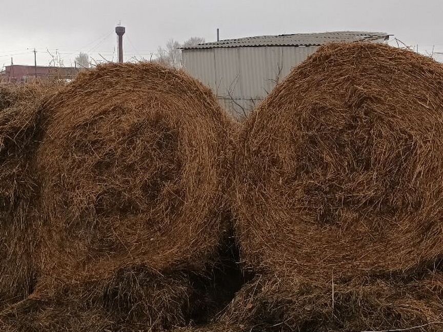 Сено в тюках