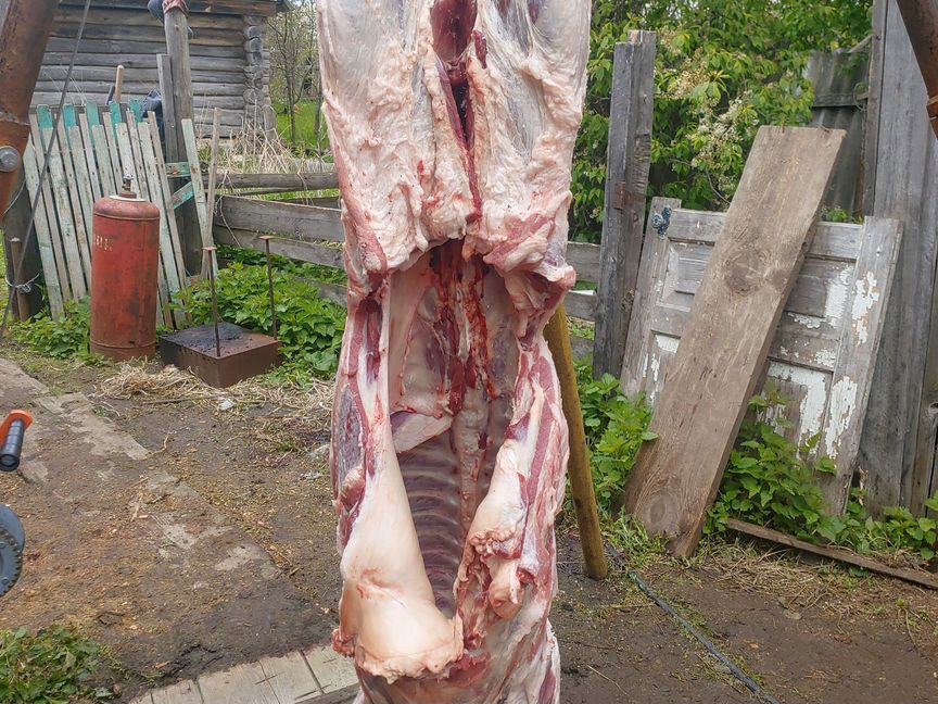 Мясо для собак