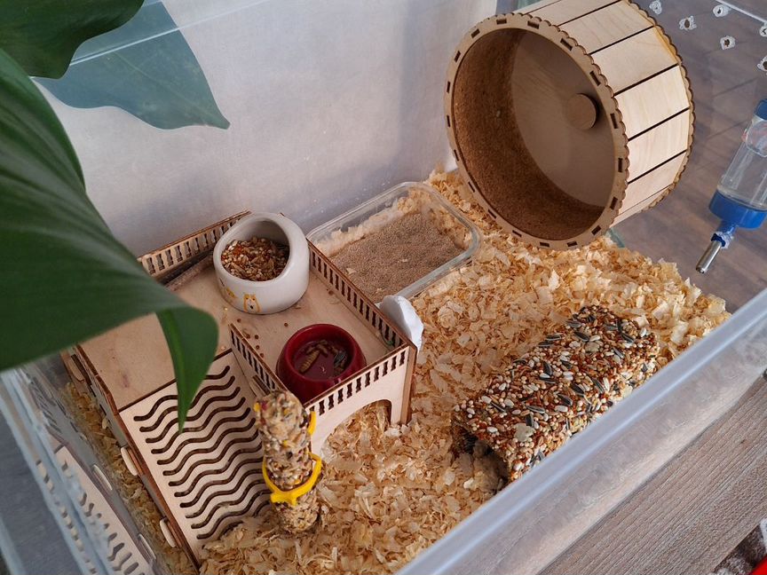 Террариум для хомяка