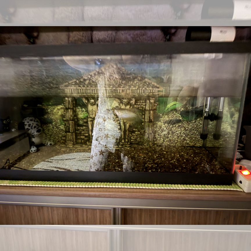 Аквариум на 180 литров
