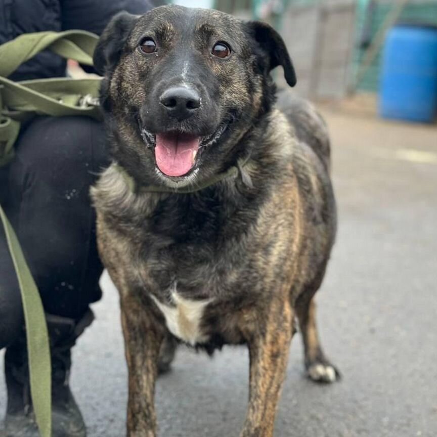 Добродушная Алла хочет в семью