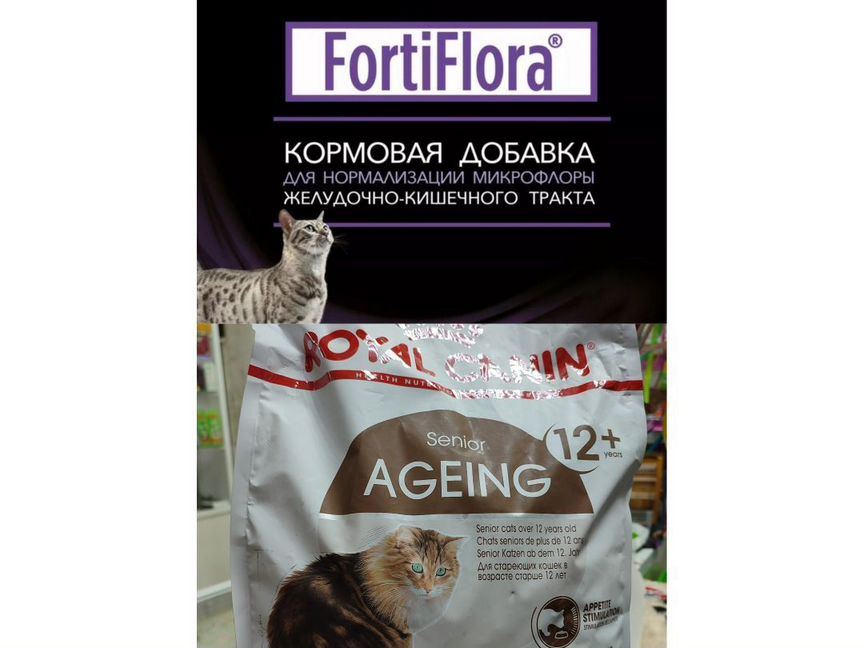 Фортифлора для кошек