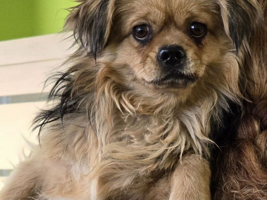 Чудо чудное, мелкий мальчик