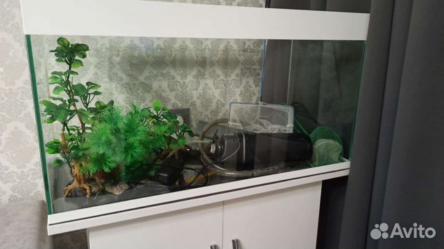 Аквариум 100 л + фильтр, декор, набор д/чистки