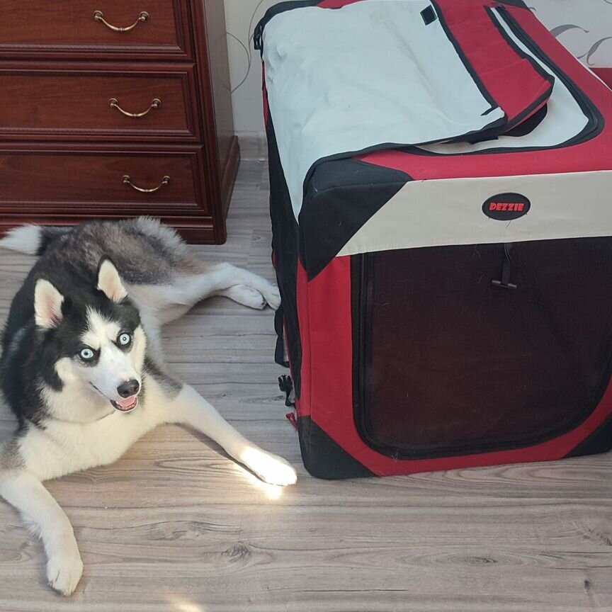 Палатка для животных