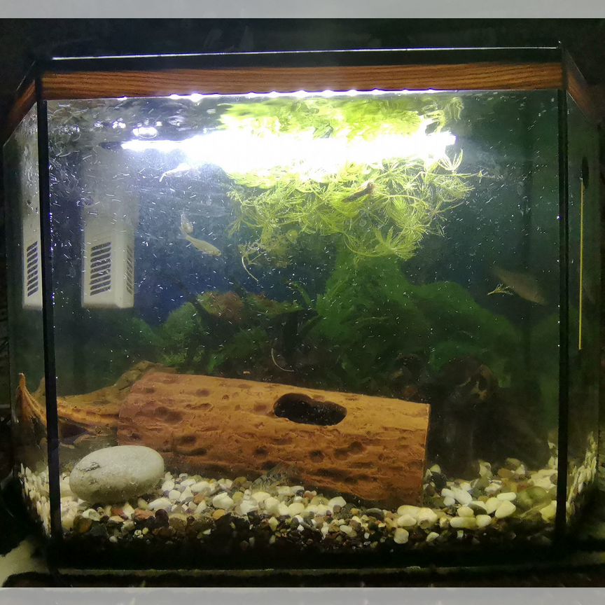 Аквариум 40 литров