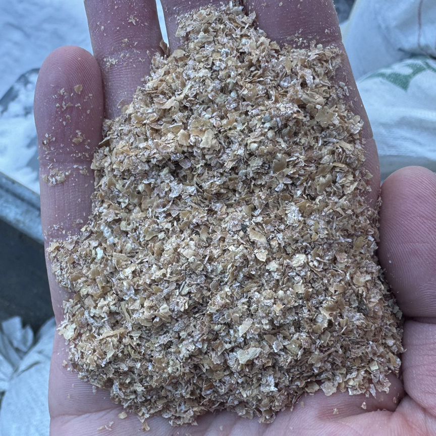 Продам корм (отруби пшеничные, пшеница)