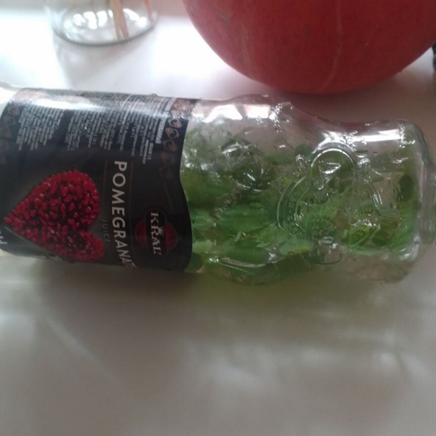 Водоросли для аквариума бесплатно