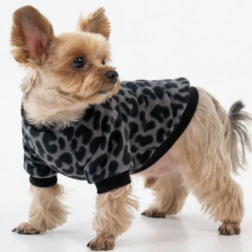 Кофта для маленьких собак