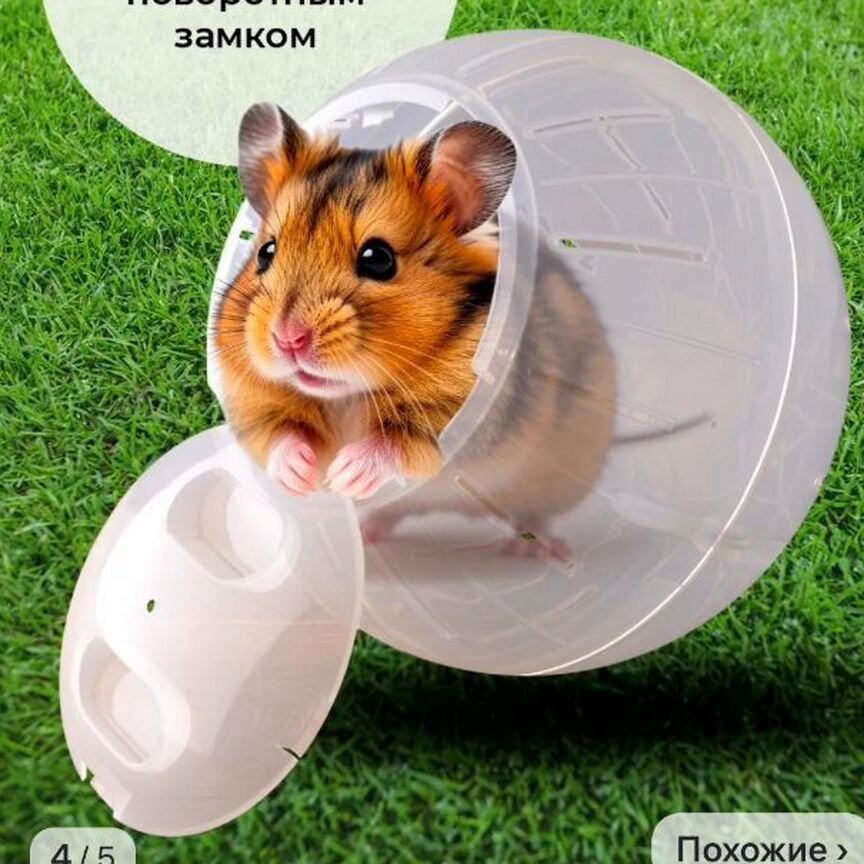 Прогулочный шар для грызунов