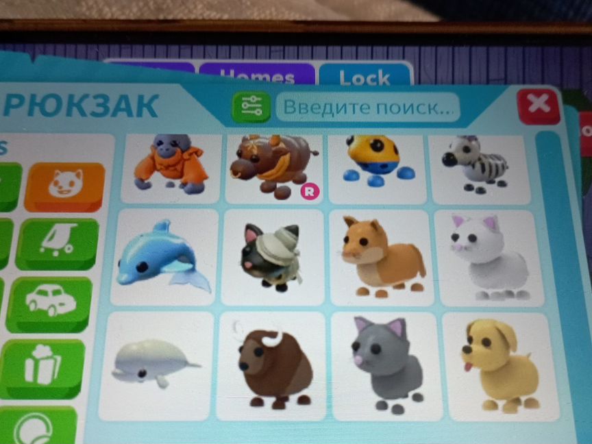 Петя в адопми