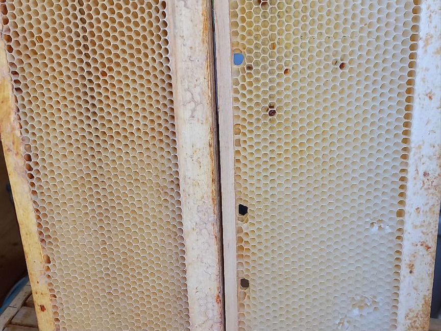 Магазинная сушь