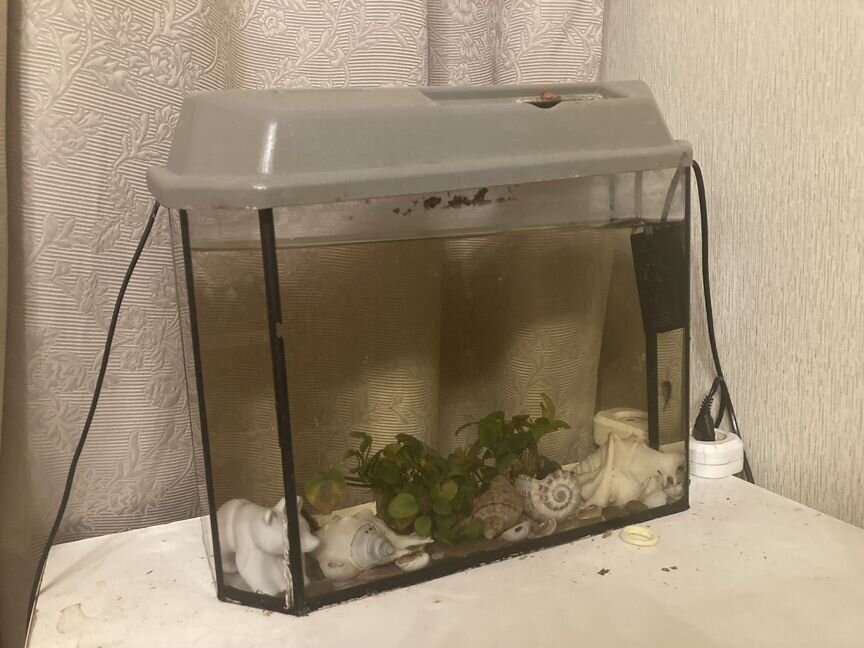 Аквариум и рыбки