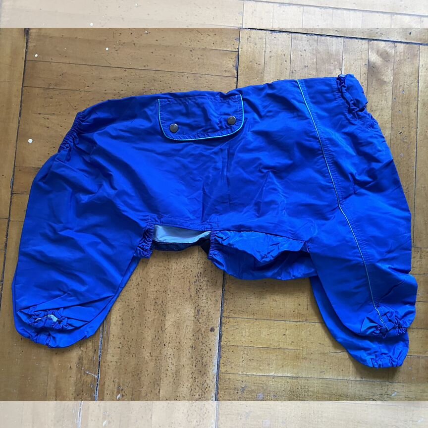 Одежда для собак