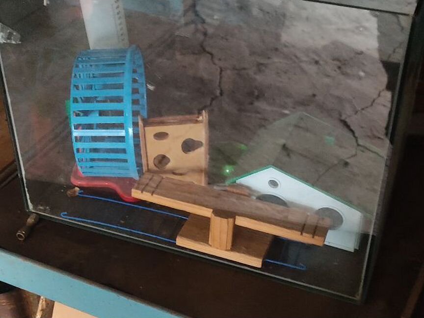 Аквариум для хомяка с аксессуарами