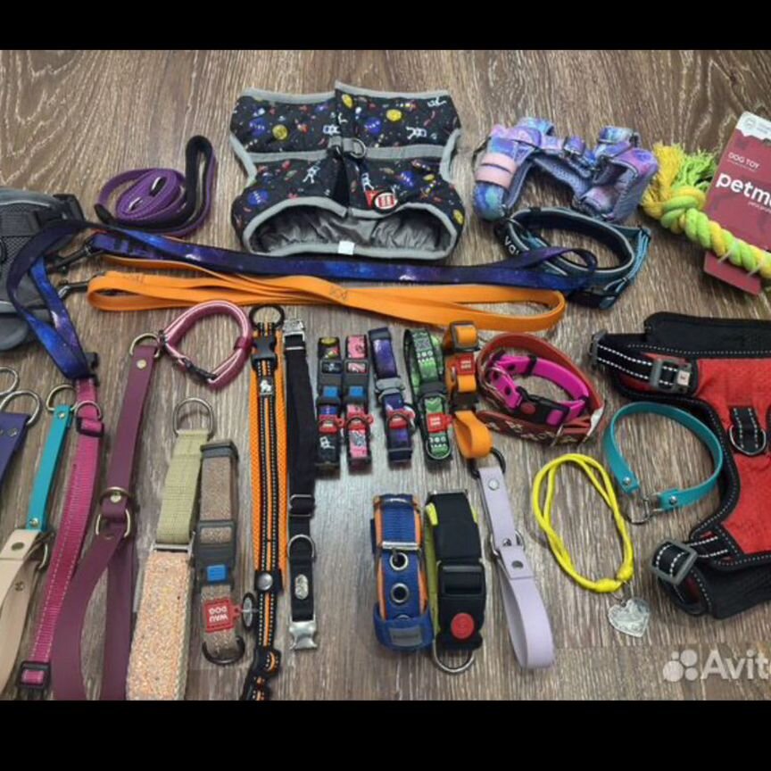 Ошейник для Ульяны