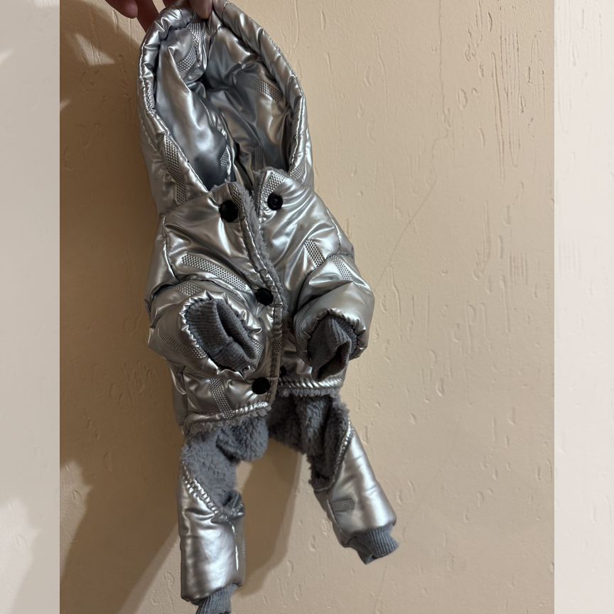 Одежда для собак мелких пород