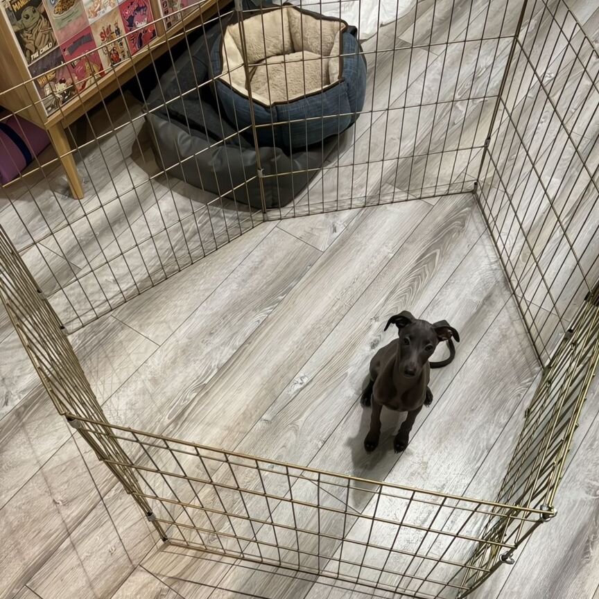 Вольер для собак