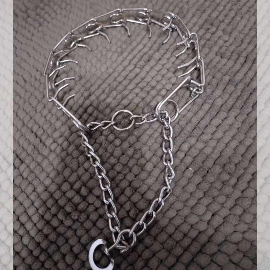 Строгий ошейник, намордник, поилка для собак