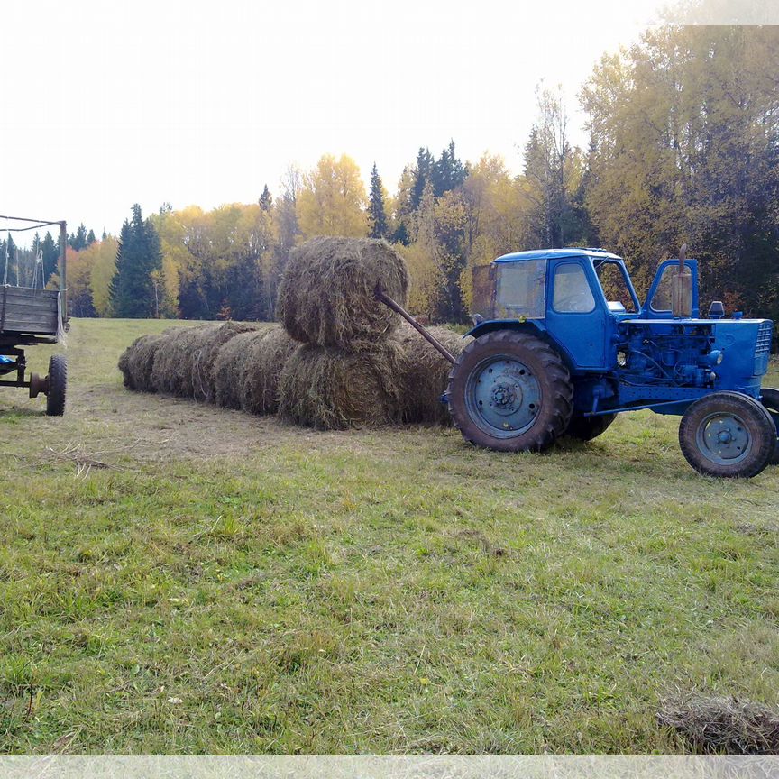 Продам сено в рулонах