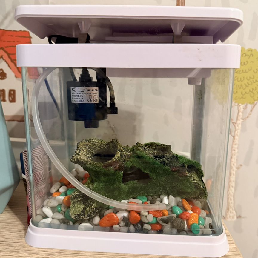 Аквариум с фильтром и подсветкой
