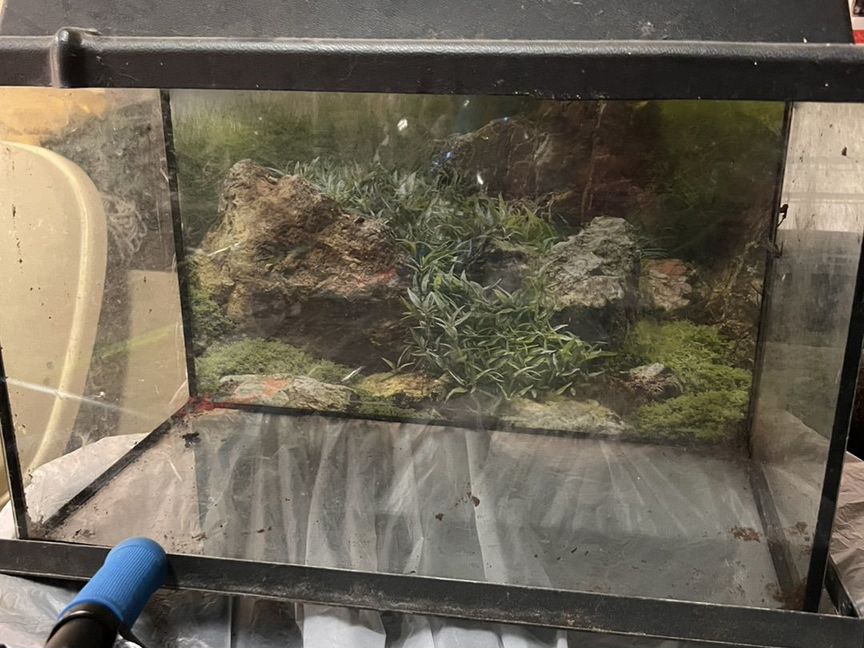 Аквариум (террариум)