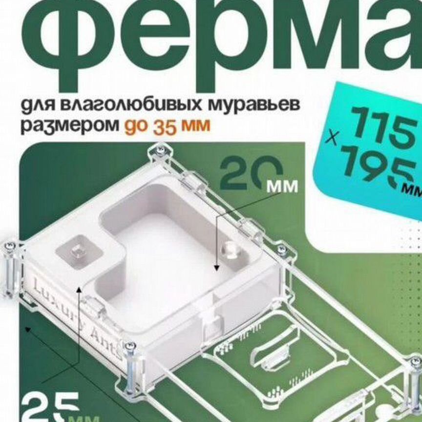 Муравьиная ферма Форпост гигант