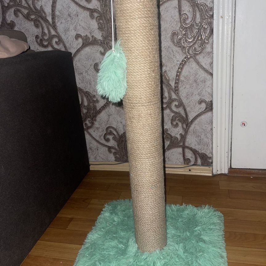 Когтеточка для кошек