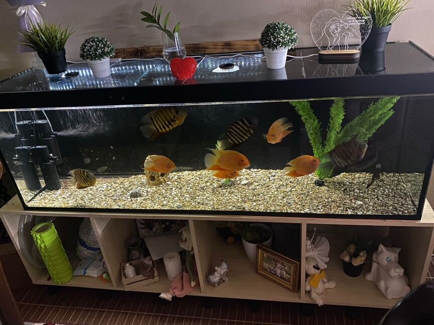 Аквариум с рыбками и шкафчиком