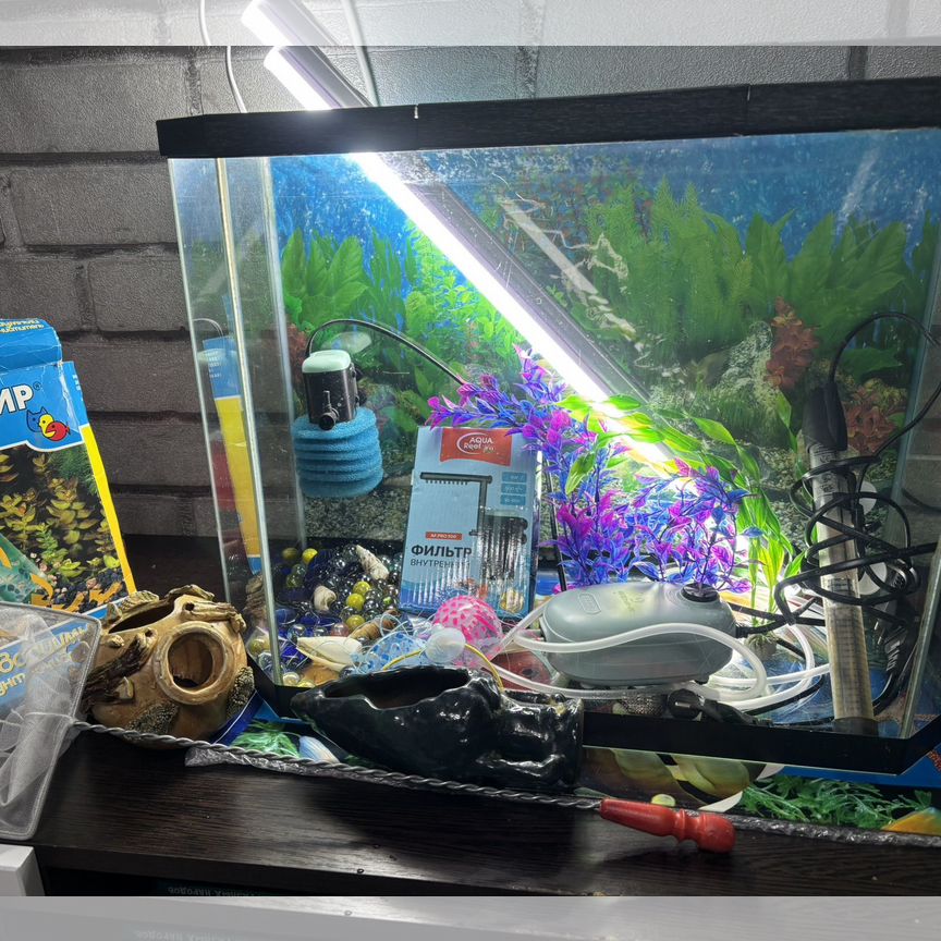 Аквариум